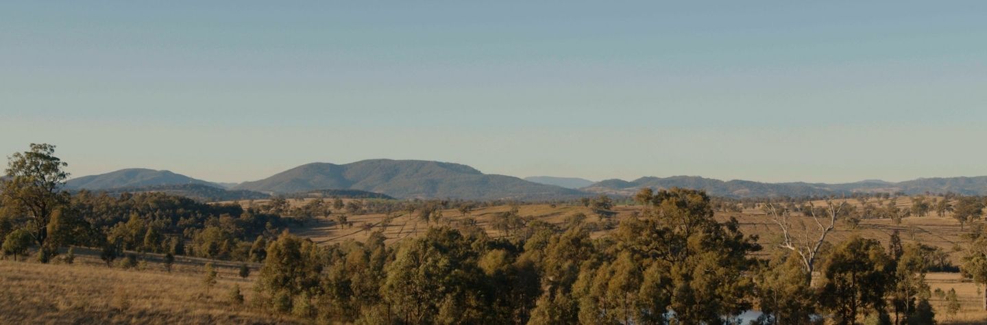 Mt Arthur Coal pathway | BHP