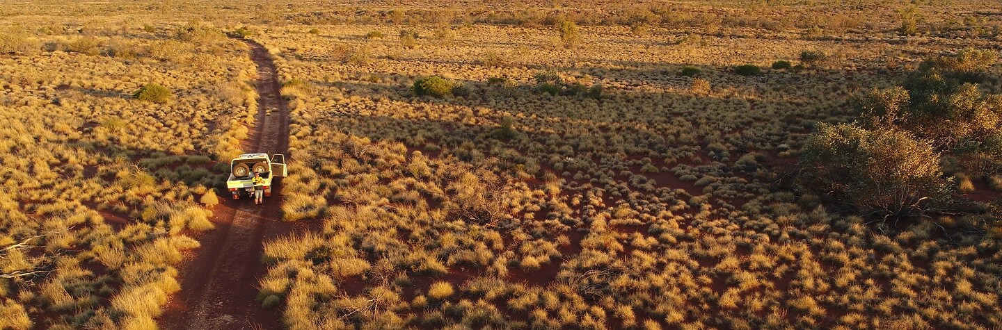 West Musgrave | BHP