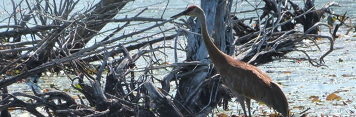 Sheriff Creek Wildlife Sanctuary