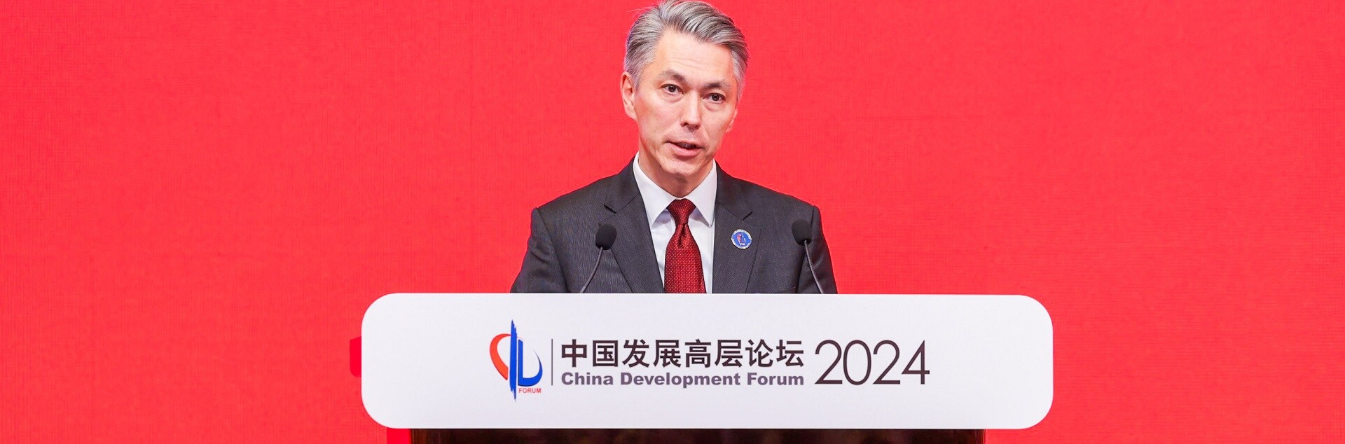 China Development Forum - CEO panel remarks
