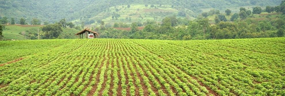 Population Growth vs Crop Production examining Potash demand over time
