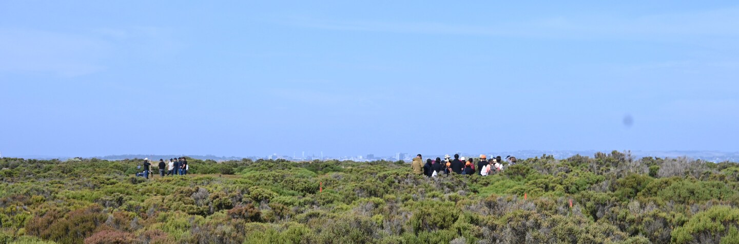 Helping drive nature-based solutions with funding to Deakin Universitys ...