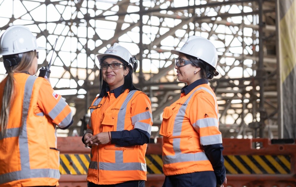 Programas de Trainee