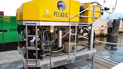 Trion Environmental Baseline Study | BHP